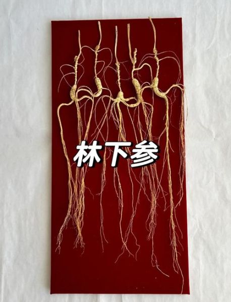 人参花多少钱一斤_人参花价格影响因素-第1张图片-山城妙识 人参花多少钱一斤_人参花价格影响因素-第1张图片-山城妙识