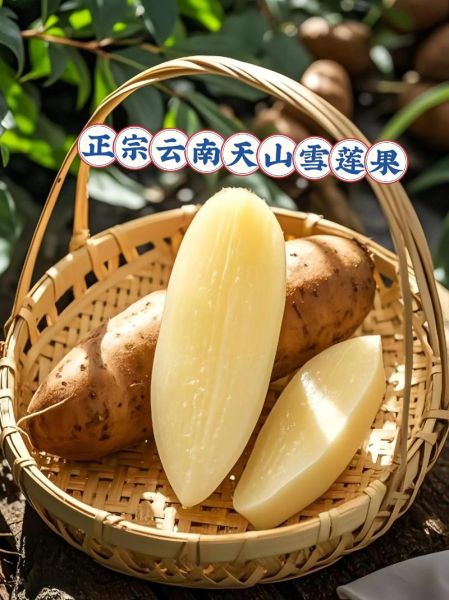 天山雪莲果可以生吃吗_生吃天山雪莲果的正确方法-第1张图片-山城妙识