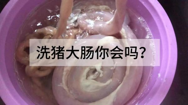 猪大肠怎么清洗才干净_猪大肠焯水几分钟-第2张图片-山城妙识