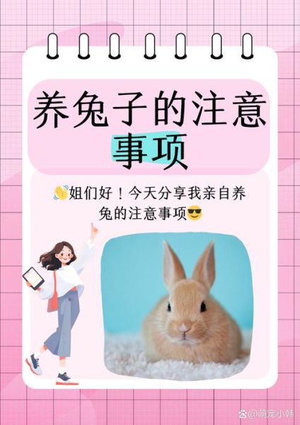 兔子为什么不能养三年_兔子寿命有多长-第3张图片-山城妙识