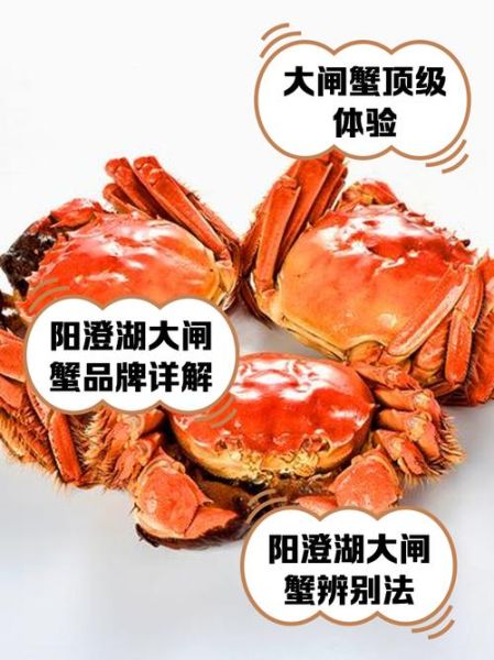 阳澄湖大闸蟹官网怎么选_蟹鲜生品质好吗-第3张图片-山城妙识