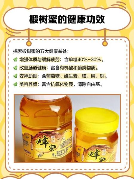 椴树蜜的功效与作用_椴树蜜多少钱一斤-第1张图片-山城妙识 椴树蜜的功效与作用_椴树蜜多少钱一斤-第1张图片-山城妙识