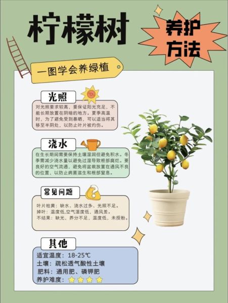 柠檬树怎么种植_柠檬树几年结果-第1张图片-山城妙识