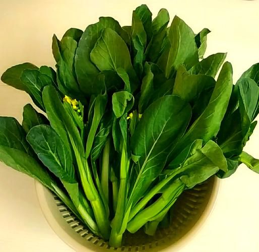 广东菜心是什么菜_广东菜心俗称叫什么-第1张图片-山城妙识