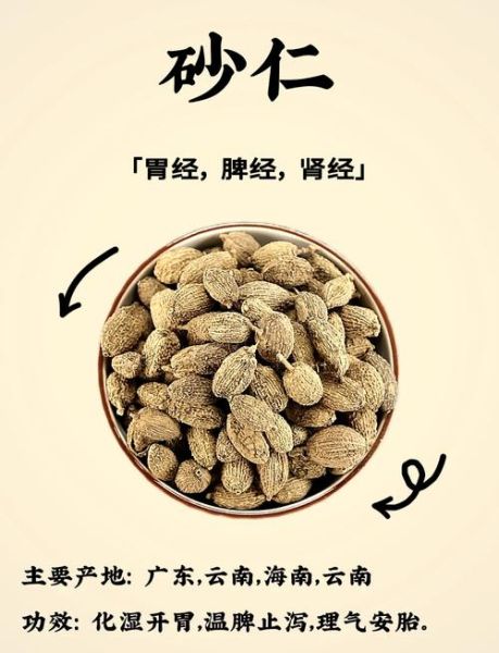 砂仁的功效与作用是什么_砂仁怎么吃效果最好-第1张图片-山城妙识