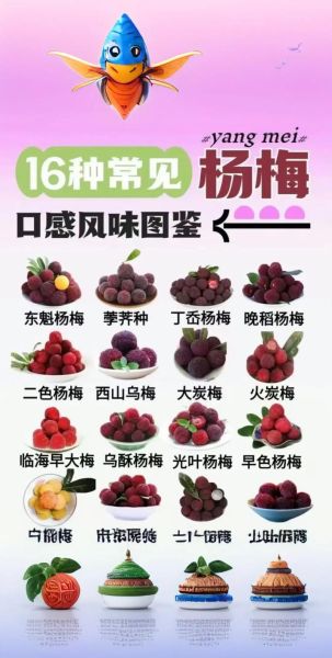 杨梅图片大全_杨梅怎么挑选-第2张图片-山城妙识 杨梅图片大全_杨梅怎么挑选-第2张图片-山城妙识
