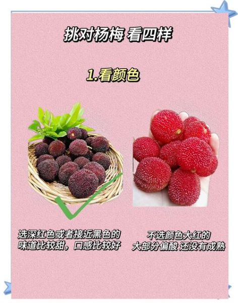 杨梅图片大全_杨梅怎么挑选-第1张图片-山城妙识 杨梅图片大全_杨梅怎么挑选-第1张图片-山城妙识