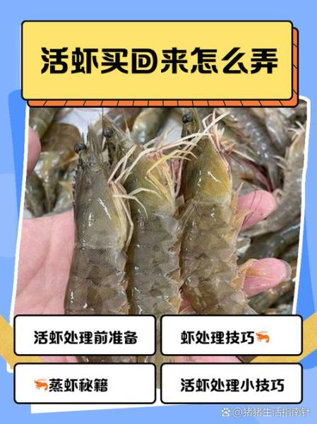 活虾怎么处理干净_活虾去虾线技巧-第1张图片-山城妙识