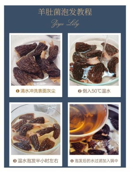 羊肚菌泡水喝的功效_羊肚菌泡水喝的正确方法-第1张图片-山城妙识