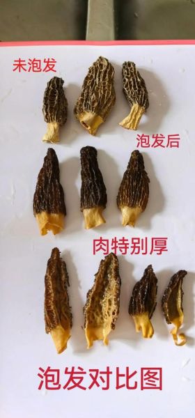 羊肚菌泡水喝的功效_羊肚菌泡水喝的正确方法-第3张图片-山城妙识