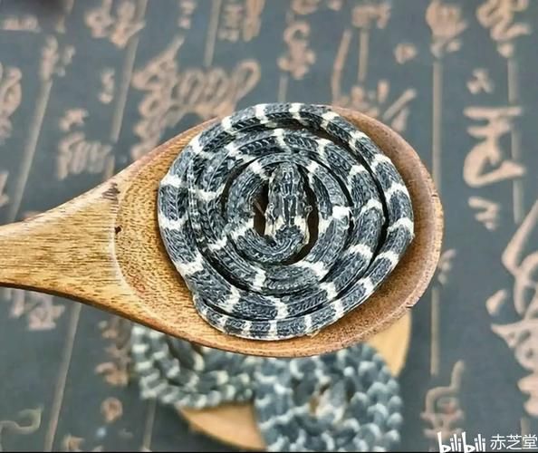 打死银环蛇要判几年_银环蛇属于几级保护动物-第3张图片-山城妙识