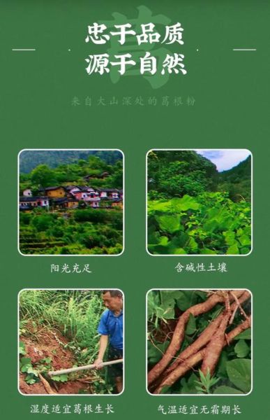 葛根粉的作用有哪些_葛根粉怎么吃效果最好-第3张图片-山城妙识