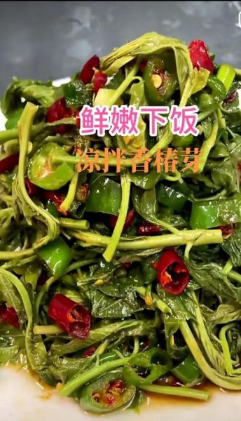 怎样腌香椿芽咸菜不烂_香椿芽咸菜保存技巧-第2张图片-山城妙识