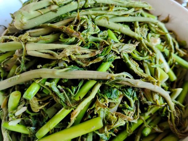 怎样腌香椿芽咸菜不烂_香椿芽咸菜保存技巧-第1张图片-山城妙识