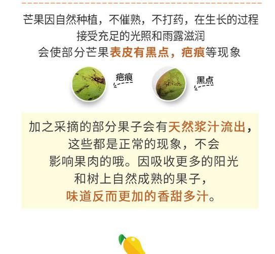 凯特芒果怎么催熟_凯特芒果催熟最快方法-第1张图片-山城妙识
