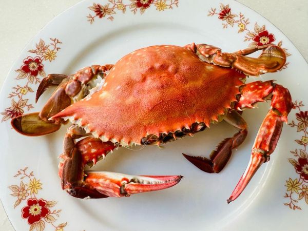 珍宝蟹怎么蒸_珍宝蟹蒸多久才鲜嫩-第3张图片-山城妙识