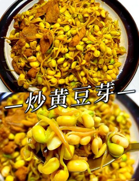 长的黄豆芽怎么做好吃_黄豆芽炒多久才脆嫩-第1张图片-山城妙识 长的黄豆芽怎么做好吃_黄豆芽炒多久才脆嫩-第1张图片-山城妙识