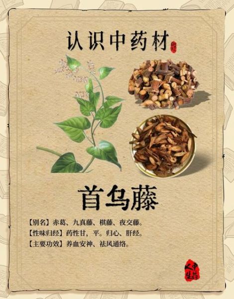 首乌藤有毒吗_首乌藤副作用与禁忌-第1张图片-山城妙识 首乌藤有毒吗_首乌藤副作用与禁忌-第1张图片-山城妙识