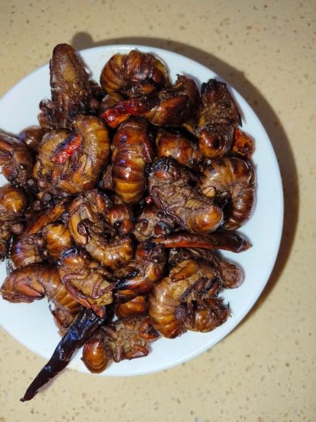 干煸蚕蛹怎么做_干煸蚕蛹好吃吗-第2张图片-山城妙识