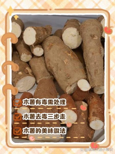 木薯怎么吃不中毒_木薯中毒怎么办-第3张图片-山城妙识