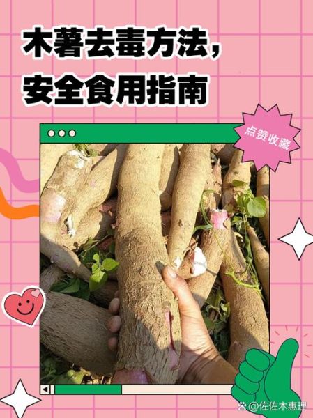 木薯怎么吃不中毒_木薯中毒怎么办-第1张图片-山城妙识