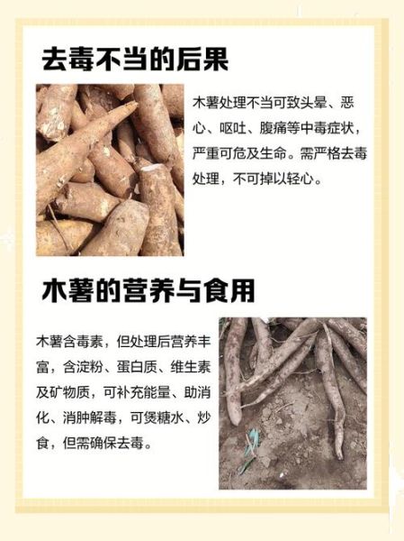 木薯怎么吃不中毒_木薯中毒怎么办-第2张图片-山城妙识