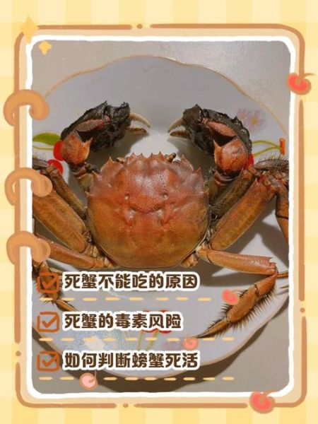 螃蟹才死还能吃吗_如何判断螃蟹新鲜度-第1张图片-山城妙识