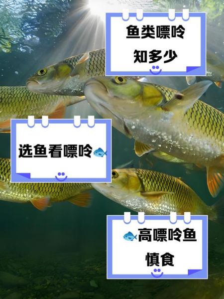 水鱼对痛风有用吗_水鱼嘌呤含量高吗-第3张图片-山城妙识