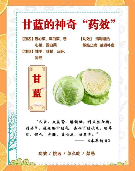 甘蓝菜怎么做好吃_甘蓝菜的营养价值-第1张图片-山城妙识
