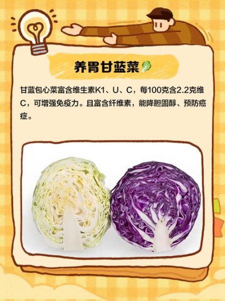 甘蓝菜怎么做好吃_甘蓝菜的营养价值-第2张图片-山城妙识