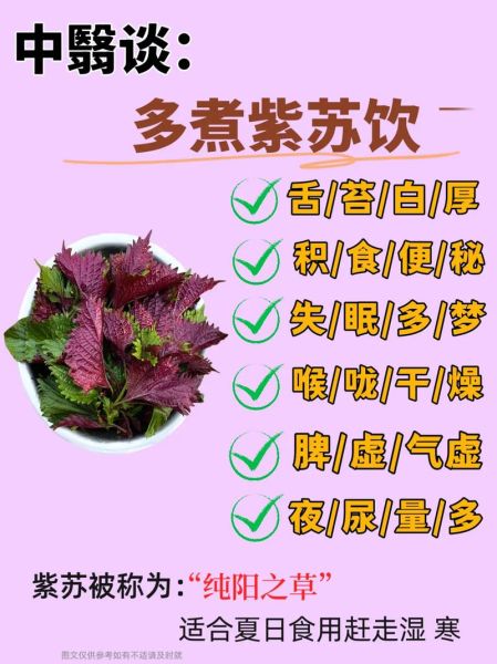 紫苏什么人不能吃_紫苏禁忌人群有哪些-第3张图片-山城妙识 紫苏什么人不能吃_紫苏禁忌人群有哪些-第3张图片-山城妙识