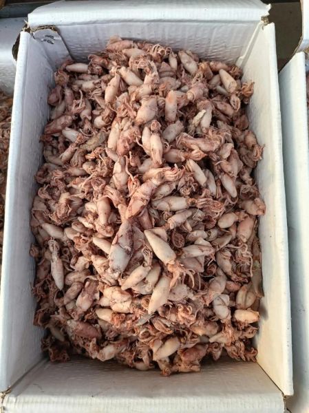 海产品有哪些干货_怎么挑选优质海产干货-第2张图片-山城妙识 海产品有哪些干货_怎么挑选优质海产干货-第2张图片-山城妙识