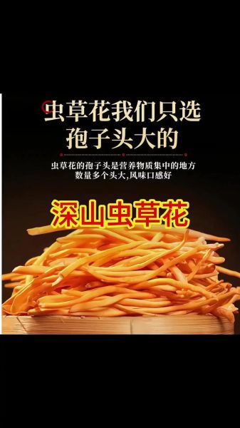 金虫草怎么吃效果最好_金虫草最佳食用方法-第3张图片-山城妙识