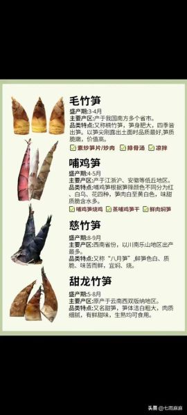 竹笋品种大全图解_哪种竹笋最好吃-第3张图片-山城妙识 竹笋品种大全图解_哪种竹笋最好吃-第3张图片-山城妙识