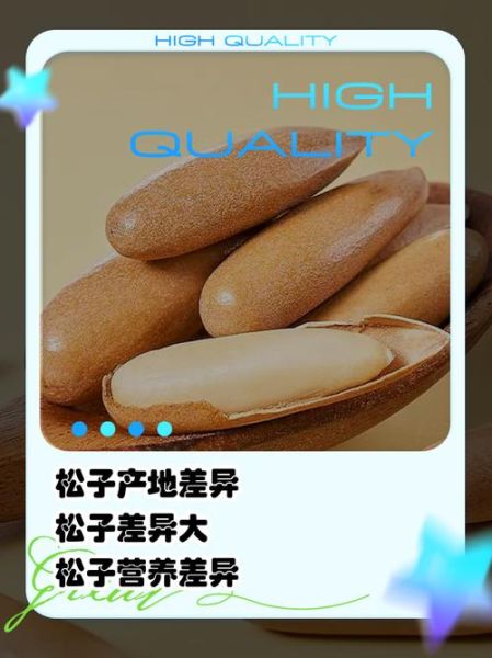 巴西松子产地在哪里_巴西松子和东北松子区别-第1张图片-山城妙识 巴西松子产地在哪里_巴西松子和东北松子区别-第1张图片-山城妙识