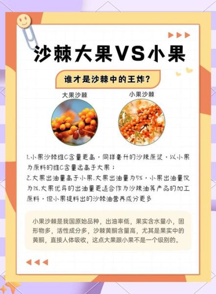 沙棘果和猕猴桃哪个维生素c高_沙棘果维生素c含量对比-第1张图片-山城妙识