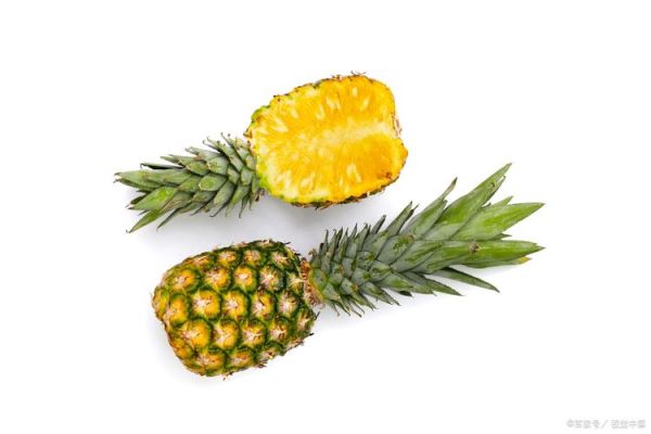 凤梨是降火还是上火_凤梨吃了会上火吗-第3张图片-山城妙识 凤梨是降火还是上火_凤梨吃了会上火吗-第3张图片-山城妙识