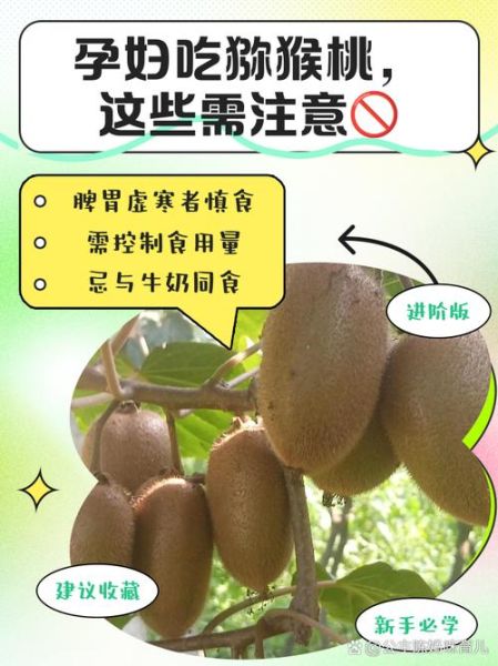 孕妇吃猕猴桃对胎儿好吗_孕期吃猕猴桃的好处与禁忌-第2张图片-山城妙识