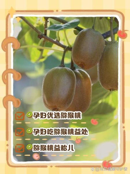 孕妇吃猕猴桃对胎儿好吗_孕期吃猕猴桃的好处与禁忌-第1张图片-山城妙识