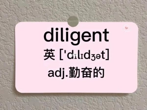 diligent怎么读_diligent发音技巧-第1张图片-山城妙识