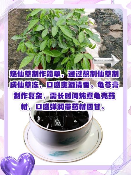 烧仙草和龟苓膏的区别_哪个降火更好-第1张图片-山城妙识