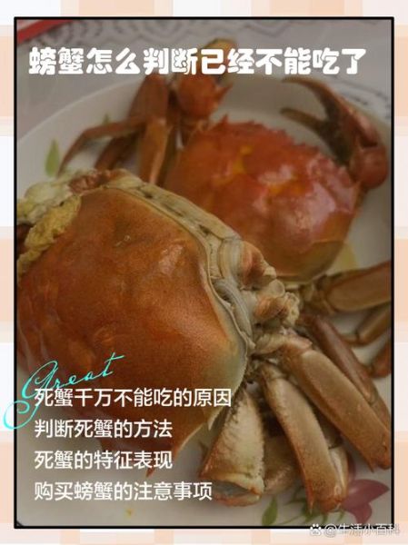 螃蟹死了多久还可以吃_如何判断死蟹是否变质-第1张图片-山城妙识 螃蟹死了多久还可以吃_如何判断死蟹是否变质-第1张图片-山城妙识