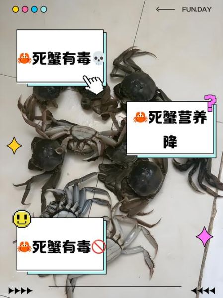 螃蟹死了多久还可以吃_如何判断死蟹是否变质-第3张图片-山城妙识 螃蟹死了多久还可以吃_如何判断死蟹是否变质-第3张图片-山城妙识