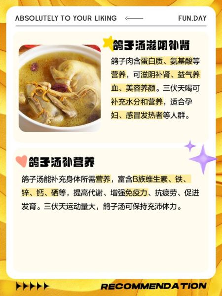 喝鸽子汤的禁忌_哪些人不能喝鸽子汤-第1张图片-山城妙识