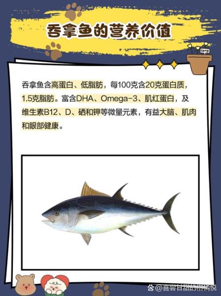 吞拿鱼和三文鱼区别_吞拿鱼营养价值高吗-第2张图片-山城妙识