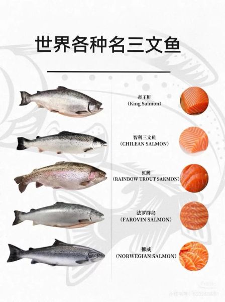 吞拿鱼和三文鱼区别_吞拿鱼营养价值高吗-第3张图片-山城妙识