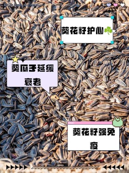 葵瓜子热量高吗_减肥能吃多少-第1张图片-山城妙识 葵瓜子热量高吗_减肥能吃多少-第1张图片-山城妙识