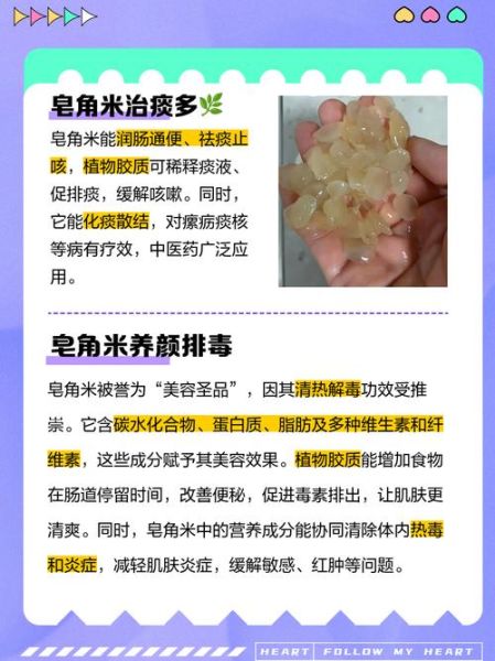 皂角米功效与禁忌_皂角米多少钱一斤-第2张图片-山城妙识