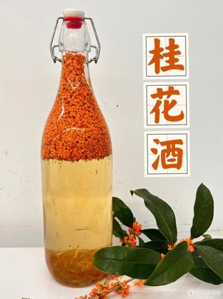 怎样酿制桂花酒_桂花酒的做法步骤-第2张图片-山城妙识