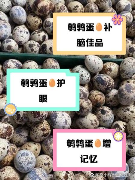 鹌鹑蛋的营养价值_鹌鹑蛋适合什么人吃-第3张图片-山城妙识 鹌鹑蛋的营养价值_鹌鹑蛋适合什么人吃-第3张图片-山城妙识
